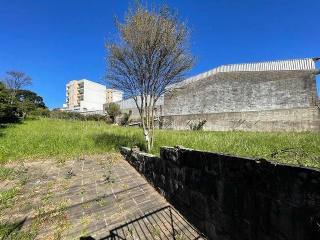 Terreno / Lote para Venda em Caxias do Sul/RS Bela Vista
