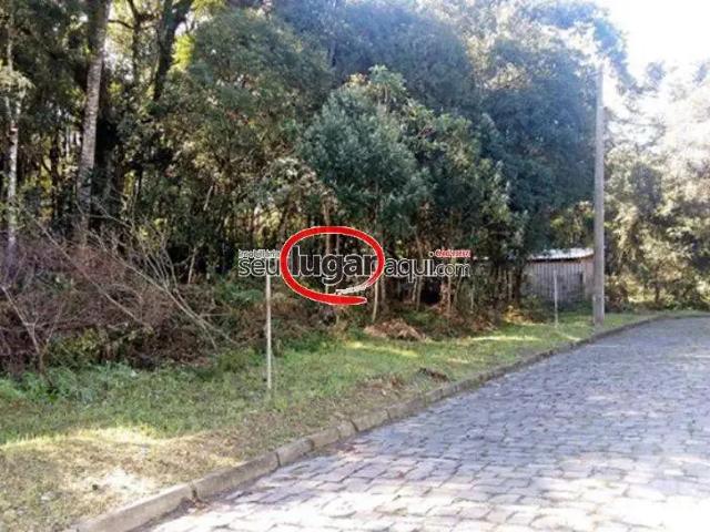 Terreno / Lote para Venda em Caxias do Sul/RS Bela Vista