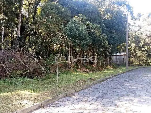 Terreno / Lote para Venda em Caxias do Sul/RS Bela Vista