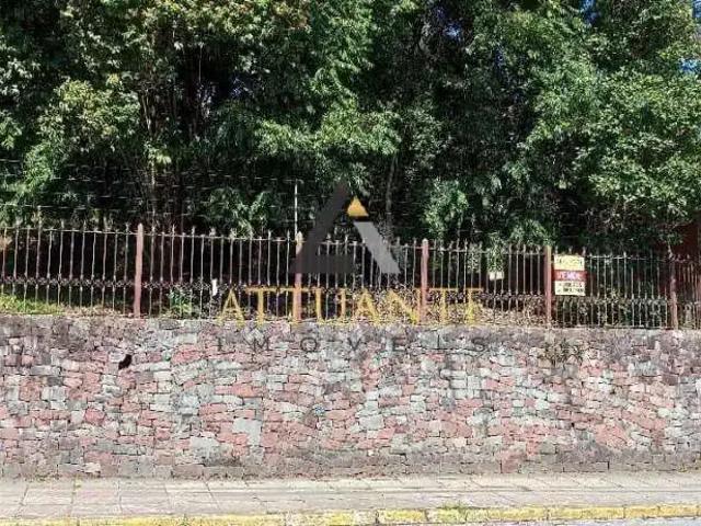 Terreno / Lote para Venda em Caxias do Sul/RS Bela Vista