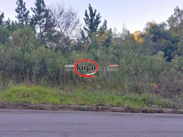 Terreno / Lote para Venda em Caxias do Sul/RS Bela Vista