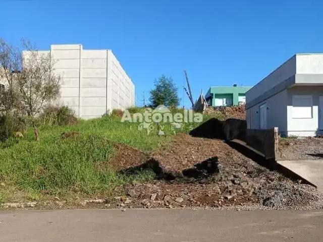 Terreno / Lote para Venda em Caxias do Sul/RS Bela Vista