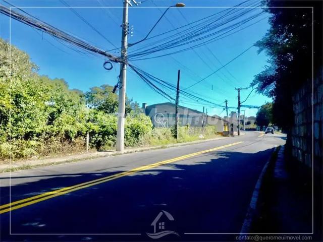 Terreno / Lote para Venda em Caxias do Sul/RS Bela Vista