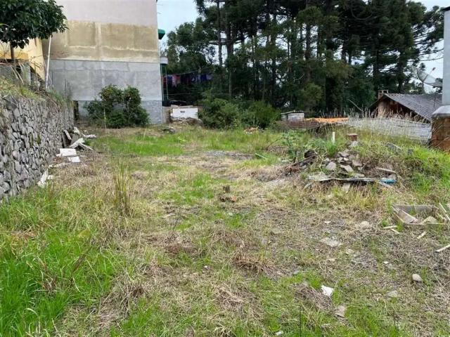 Terreno / Lote para Venda em Caxias do Sul/RS Bela Vista