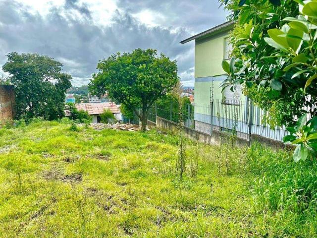 Terreno / Lote para Venda em Caxias do Sul/RS Bela Vista