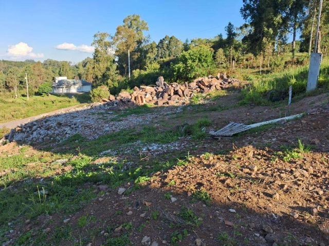 Terreno / Lote para Venda em Caxias do Sul/RS Bela Vista