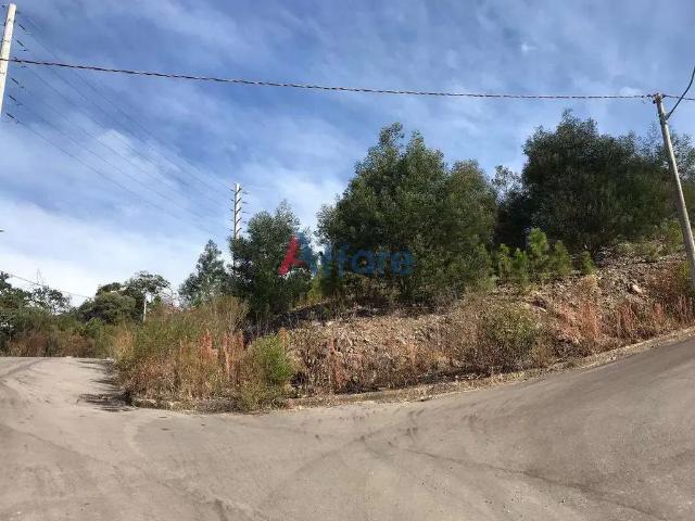 Terreno / Lote para Venda em Caxias do Sul/RS Bela Vista