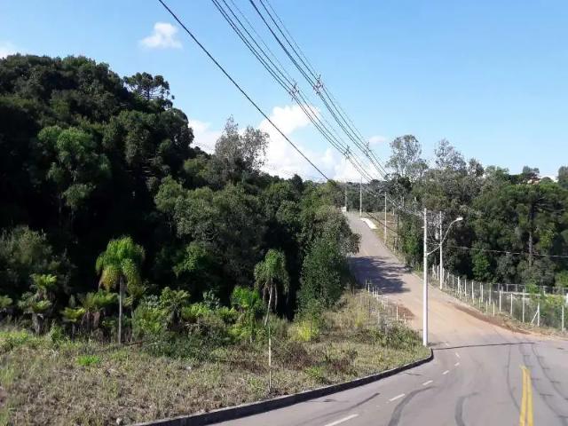 Terreno / Lote para Venda em Caxias do Sul/RS Bela Vista