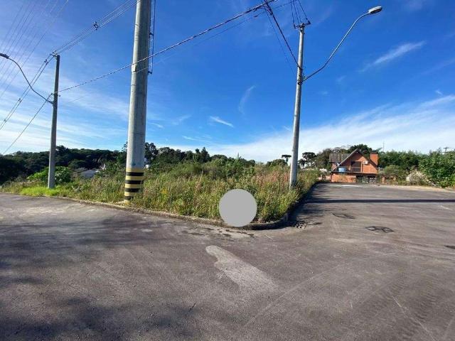 Terreno / Lote para Venda em Caxias do Sul/RS Bela Vista
