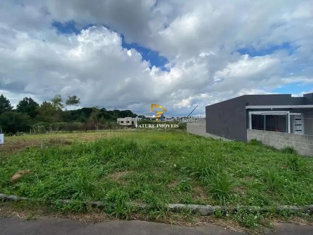 Terreno / Lote para Venda em Caxias do Sul/RS Bela Vista
