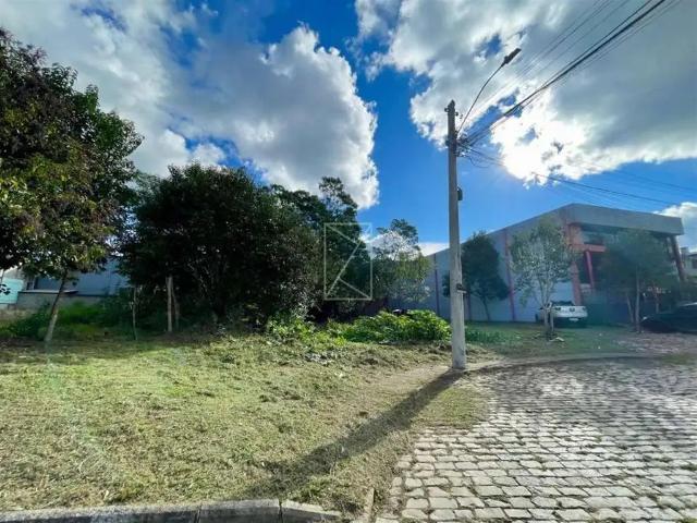 Terreno / Lote para Venda em Caxias do Sul/RS Bela Vista