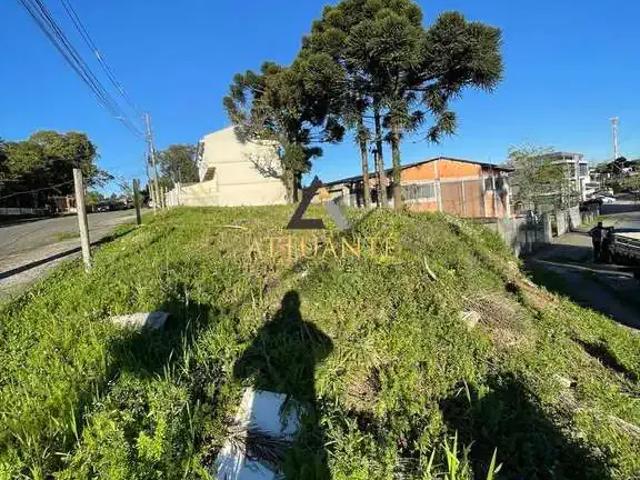 Terreno / Lote para Venda em Caxias do Sul/RS Bela Vista