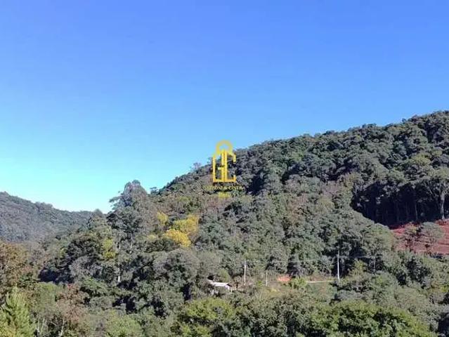 Terreno / Lote para Venda em Caxias do Sul/RS Galópolis