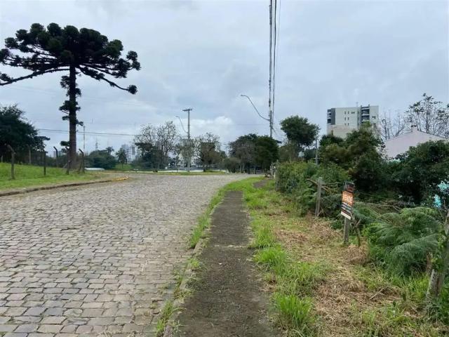 Terreno / Lote para Venda em Caxias do Sul/RS Desvio Rizzo