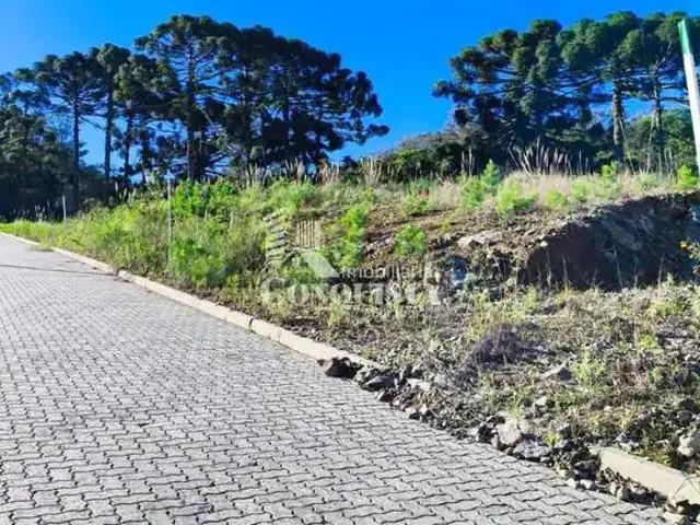 Terreno / Lote para Venda em Caxias do Sul/RS Desvio Rizzo