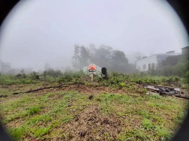 Terreno / Lote para Venda em Caxias do Sul/RS Desvio Rizzo