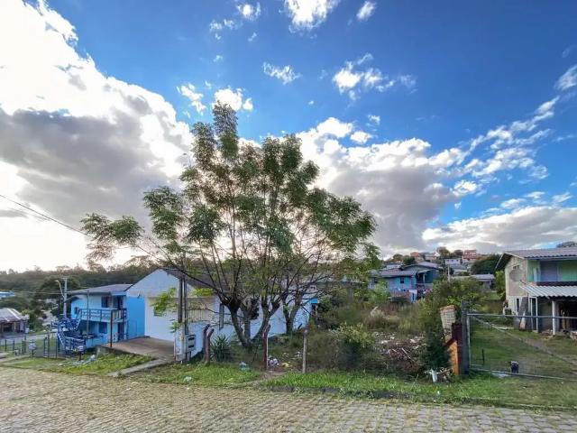 Terreno / Lote para Venda em Caxias do Sul/RS Desvio Rizzo