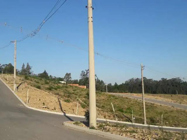 Terreno / Lote para Venda em Caxias do Sul/RS Desvio Rizzo