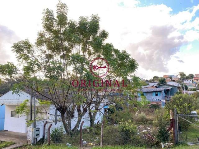 Terreno / Lote para Venda em Caxias do Sul/RS Desvio Rizzo