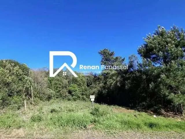 Terreno / Lote para Venda em Caxias do Sul/RS Desvio Rizzo