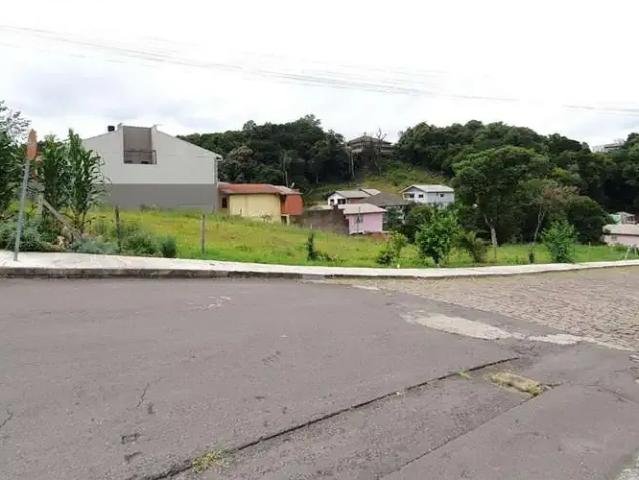Terreno / Lote para Venda em Caxias do Sul/RS Desvio Rizzo
