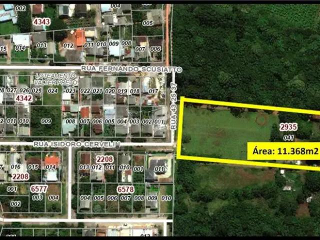Terreno / Lote para Venda em Caxias do Sul/RS Desvio Rizzo