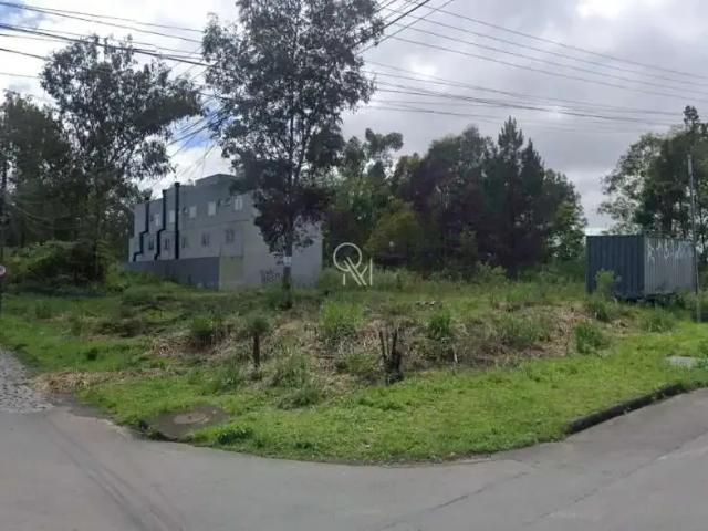 Terreno / Lote para Venda em Caxias do Sul/RS Desvio Rizzo