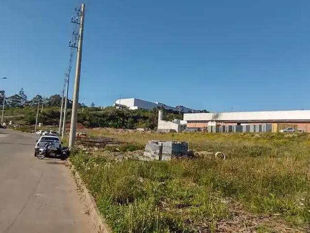 Terreno / Lote para Venda em Caxias do Sul/RS Desvio Rizzo