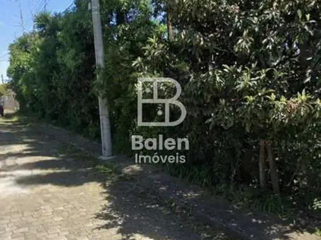 Terreno / Lote para Venda em Caxias do Sul/RS Desvio Rizzo