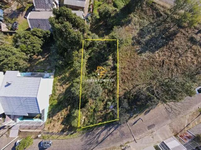 Terreno / Lote para Venda em Caxias do Sul/RS Desvio Rizzo