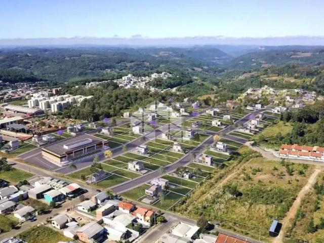Terreno / Lote para Venda em Caxias do Sul/RS Desvio Rizzo