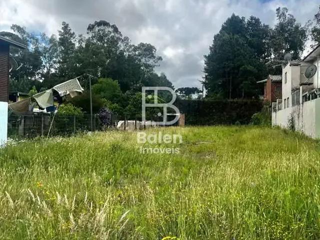 Terreno / Lote para Venda em Caxias do Sul/RS Desvio Rizzo