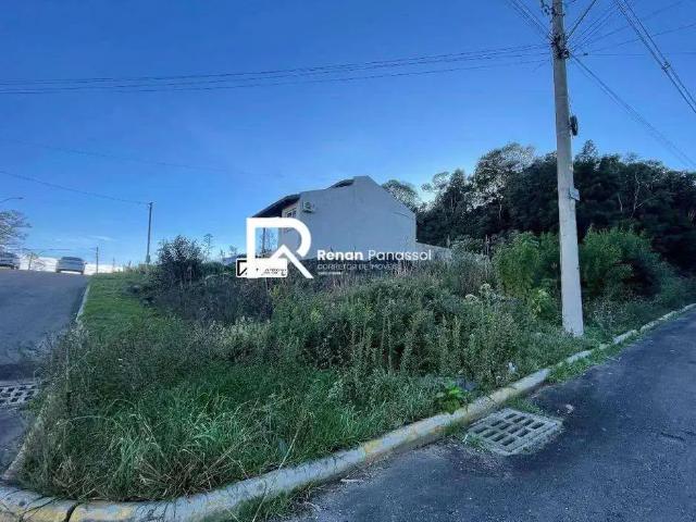 Terreno / Lote para Venda em Caxias do Sul/RS Desvio Rizzo