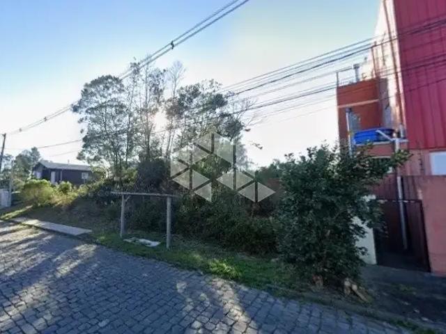 Terreno / Lote para Venda em Caxias do Sul/RS Desvio Rizzo