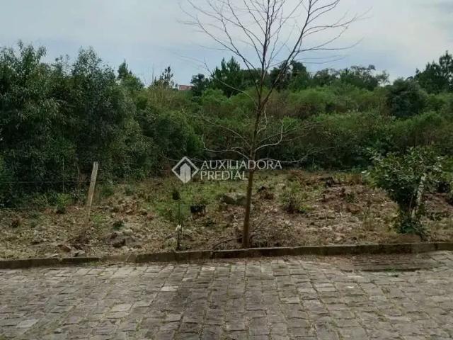 Terreno / Lote para Venda em Caxias do Sul/RS Desvio Rizzo
