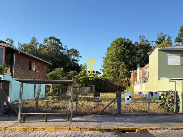 Terreno / Lote para Venda em Caxias do Sul/RS Desvio Rizzo