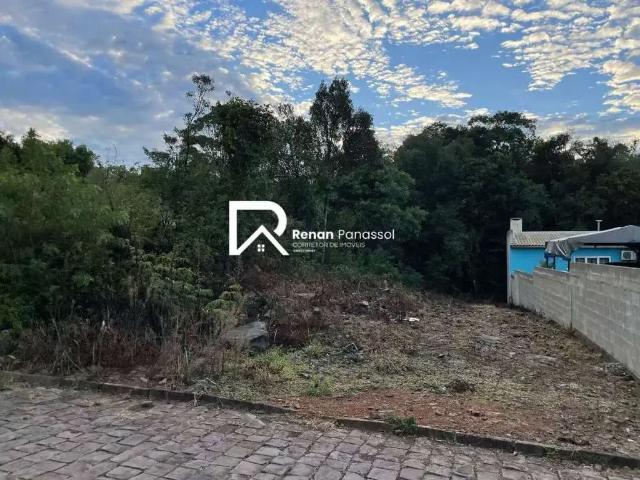 Terreno / Lote para Venda em Caxias do Sul/RS Desvio Rizzo