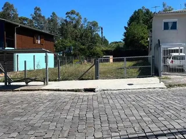 Terreno / Lote para Venda em Caxias do Sul/RS Desvio Rizzo