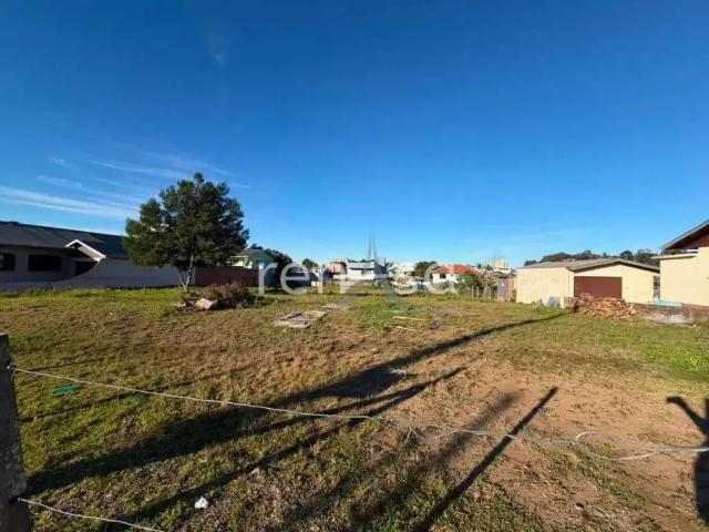 Terreno / Lote para Venda em Caxias do Sul/RS Desvio Rizzo