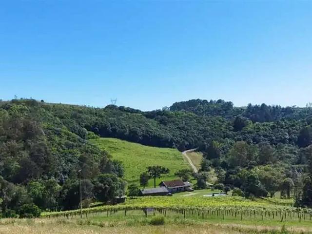 Terreno / Lote para Venda em Caxias do Sul/RS Desvio Rizzo