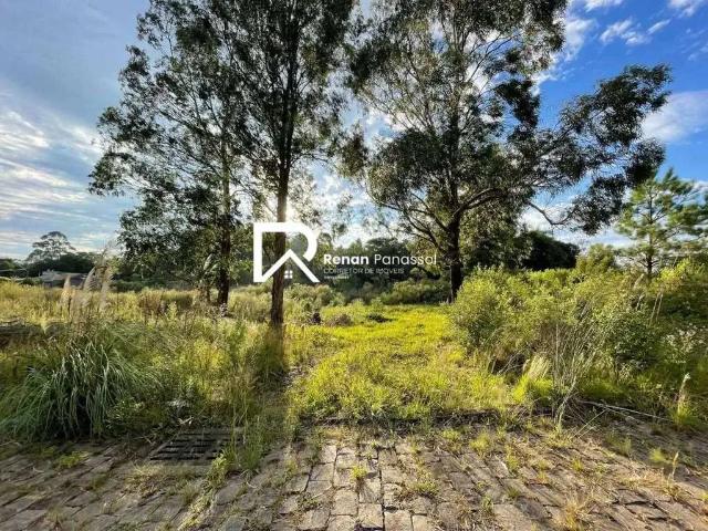 Terreno / Lote para Venda em Caxias do Sul/RS Desvio Rizzo
