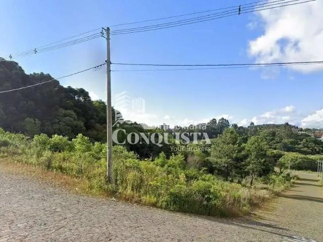 Terreno / Lote para Venda em Caxias do Sul/RS Desvio Rizzo