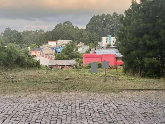 Terreno / Lote para Venda em Caxias do Sul/RS Desvio Rizzo