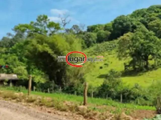 Terreno / Lote para Venda em Caxias do Sul/RS Desvio Rizzo