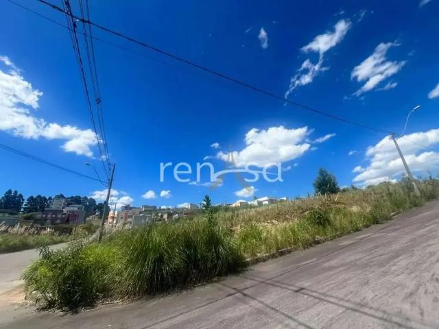 Terreno / Lote para Venda em Caxias do Sul/RS Desvio Rizzo