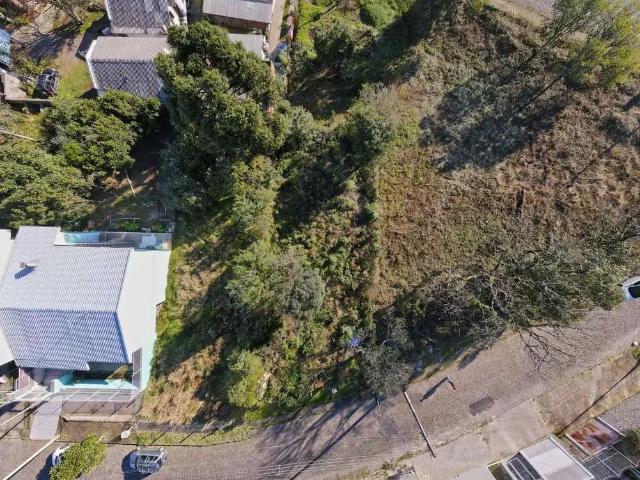 Terreno / Lote para Venda em Caxias do Sul/RS Desvio Rizzo
