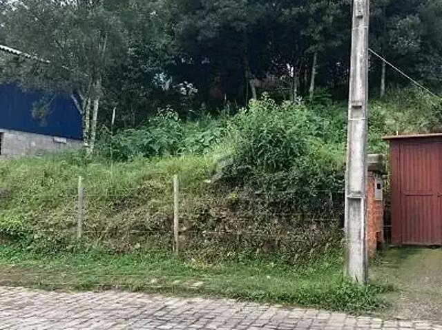 Terreno / Lote para Venda em Caxias do Sul/RS Desvio Rizzo