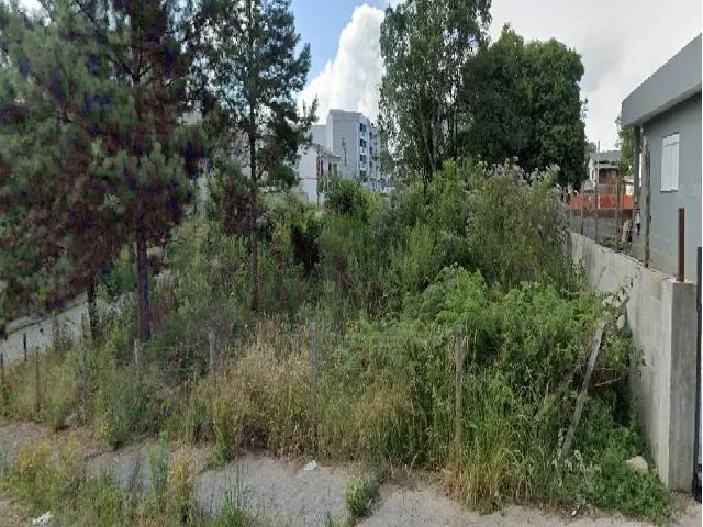 Terreno / Lote para Venda em Caxias do Sul/RS Desvio Rizzo