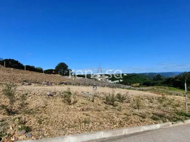 Terreno / Lote para Venda em Caxias do Sul/RS Desvio Rizzo