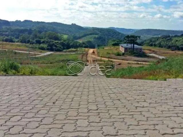 Terreno / Lote para Venda em Caxias do Sul/RS Diamantino